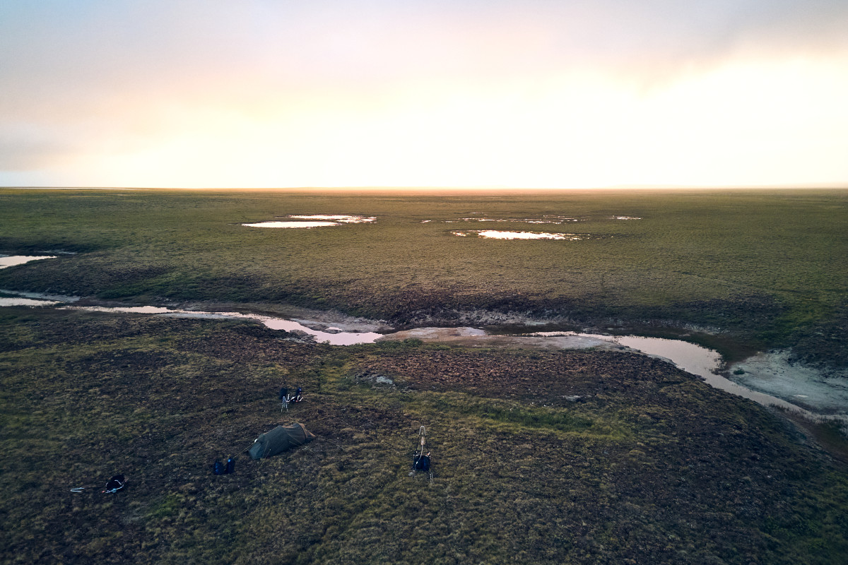 Victoria Island: Expedition zur Third Order Island