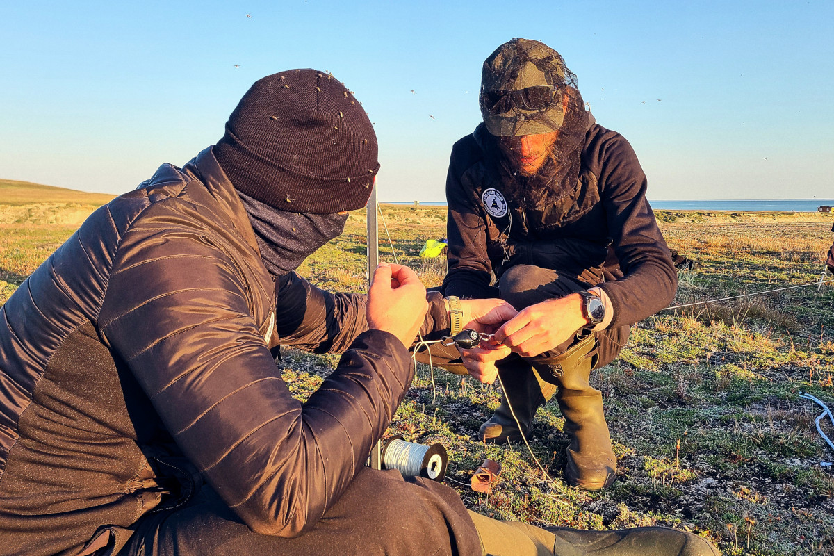 Victoria Island: Expedition zur Third Order Island