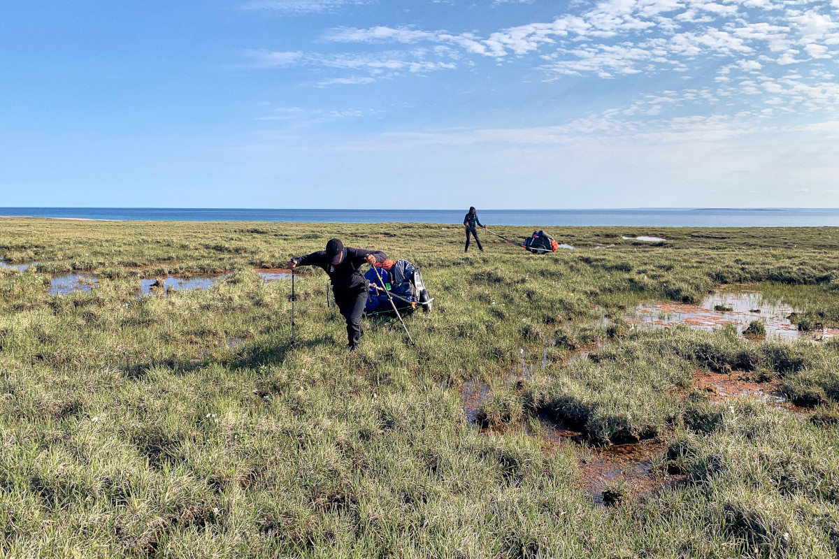 Victoria Island: Expedition zur Third Order Island