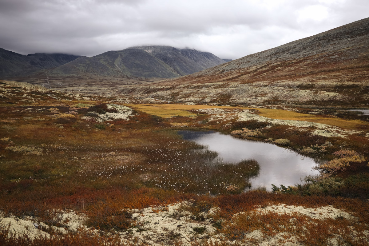 Trekking durch den Rondane Nationalpark - 3 Tage Herbstmagie